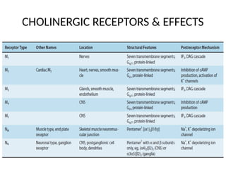 10. CHOLINERGIC PHARMACOLOGY.pptx classes of drugs examples, mechanism ...