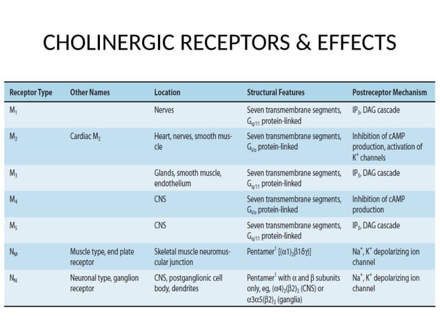 10. CHOLINERGIC PHARMACOLOGY.pptx classes of drugs examples, mechanism ...