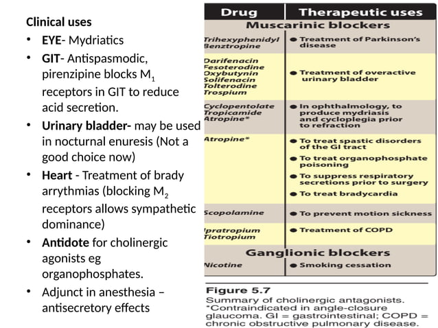 10. CHOLINERGIC PHARMACOLOGY.pptx classes of drugs examples, mechanism ...