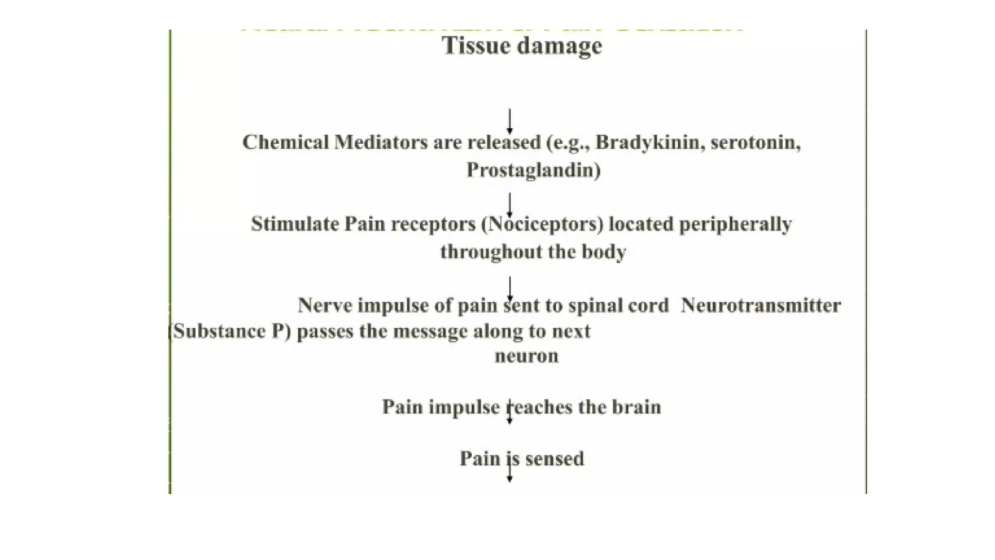 10. OPOID ANALGESICS for dental students.pptx