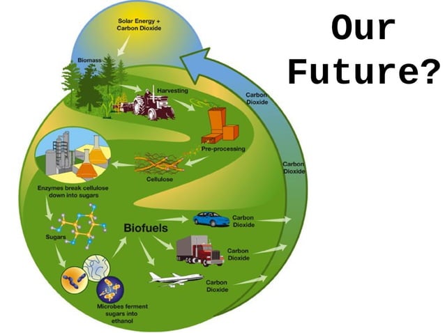 Cellulosic Biofuel Presentation | PPT | Agriculture | Industries