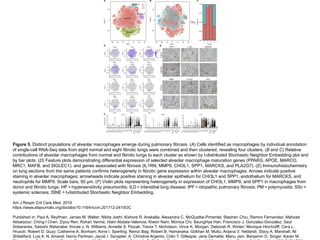 10.1164-rccm.201712-2410OCdfdfFigure5.pptx