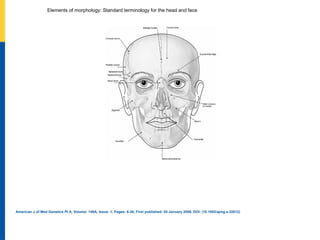 anatomy of head and neck in dentistry .ppt
