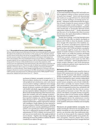 Neuropatia Diabetica 10.1038@s41572-019-0092-1.pdf