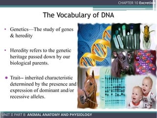 10. Heredity and Variation Human & Social Biology.pptx