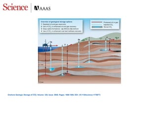 CO2 storage pathways in the subsurface formations | PPTX