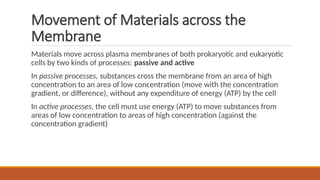 10. Plasma Membrane structure and composition.pptx