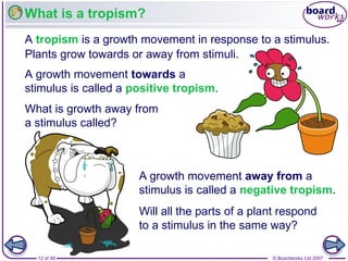 10. Plant Growth v1.0.ppt boardworks powerpoint | PPT