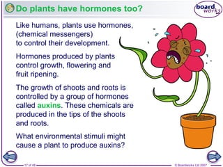 10. Plant Growth v1.0.ppt boardworks powerpoint | PPT