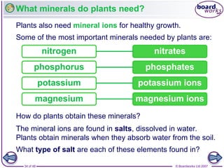 10. Plant Growth v1.0.ppt boardworks powerpoint | PPT