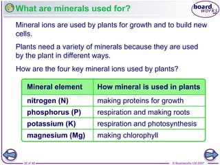 10. Plant Growth v1.0.ppt boardworks powerpoint | PPT