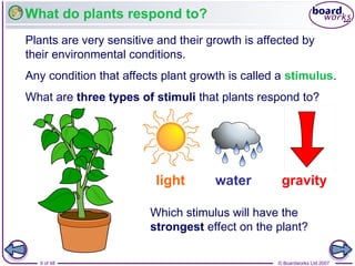 10. Plant Growth v1.0.ppt boardworks powerpoint | PPT
