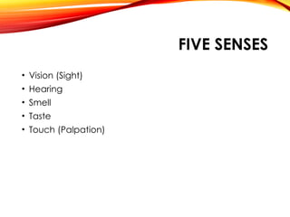 10. The Special Senses power point by Dr witika | PPT