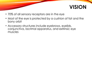 10. The Special Senses power point by Dr witika | PPT