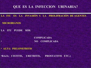 10.- INFECCION URINARIA gaby nefrol. ppt | PPT