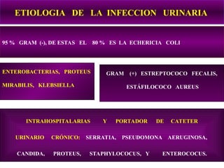 10.- INFECCION URINARIA gaby nefrol. ppt | PPT