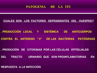 10.- INFECCION URINARIA gaby nefrol. ppt | PPT