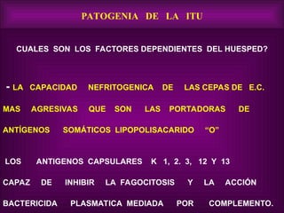 10.- INFECCION URINARIA gaby nefrol. ppt | PPT