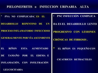 10.- INFECCION URINARIA gaby nefrol. ppt | PPT