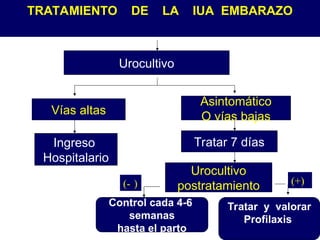10.- INFECCION URINARIA gaby nefrol. ppt | PPT
