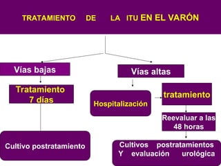 10.- INFECCION URINARIA gaby nefrol. ppt | PPT