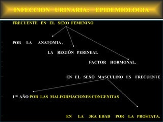 10.- INFECCION URINARIA gaby nefrol. ppt | PPT