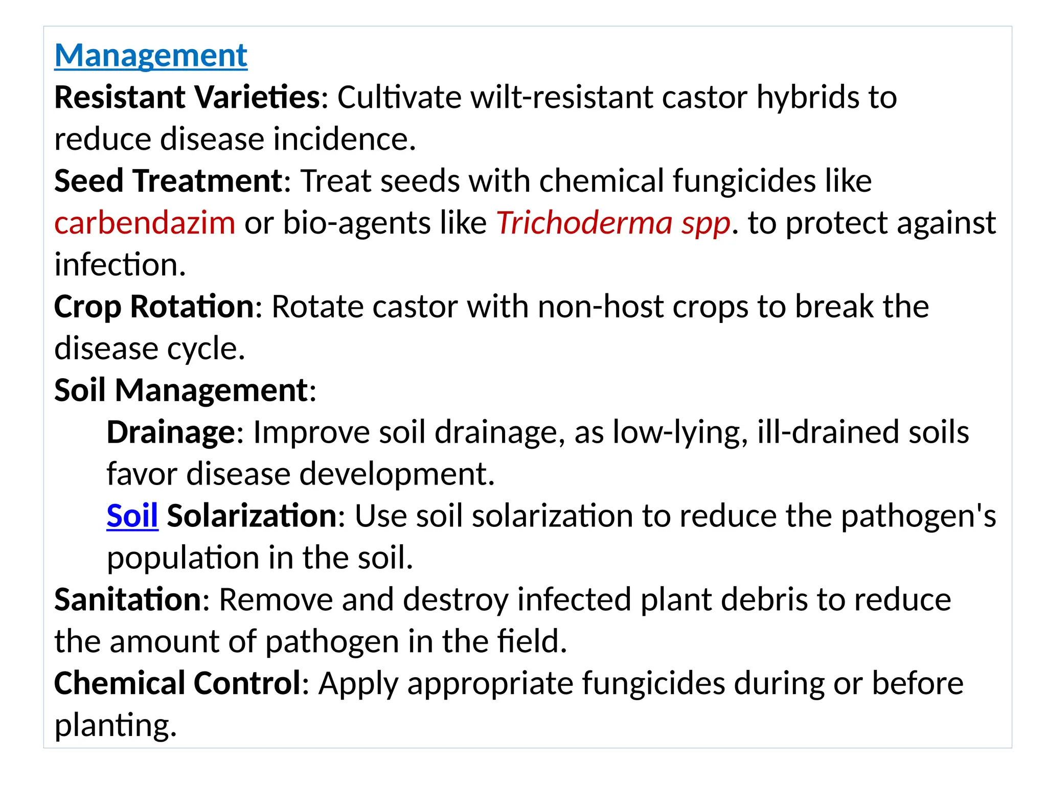 10.Castor.pptx castor disease and manage | PPTX