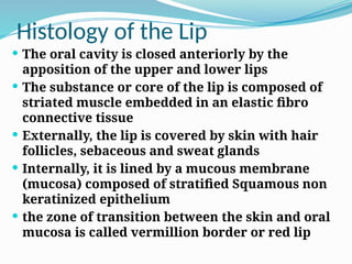 Histology of the Oral cavity: Tongue, Tooth and Lip. | PPTX