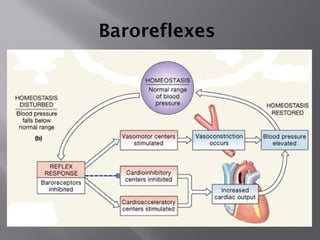 10. ANTIHYPERTENSIVE DRUGS AND PHARMACOLOGICAL APPLICATIONS | PPTX