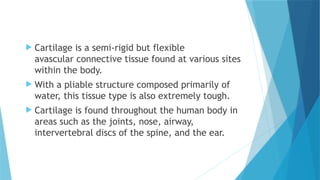 10. CARTILAGE.pptx cartilage tissue histology | PPTX