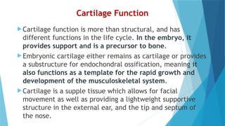 10. CARTILAGE.pptx cartilage tissue histology | PPTX