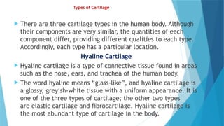 10. CARTILAGE.pptx cartilage tissue histology | PPTX