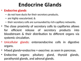 10. Glands and its types, and the histology. | PPTX