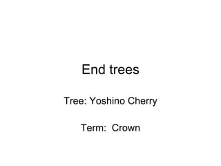 10 26 End Trees | PPT