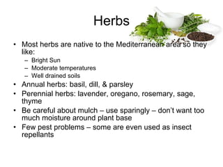 10 27 Herbs | PPT