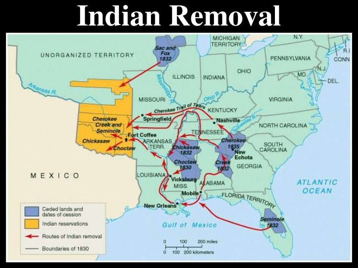 10 3 indian removal