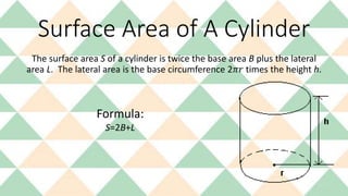 Surface area of prisms and cylinders | PPT