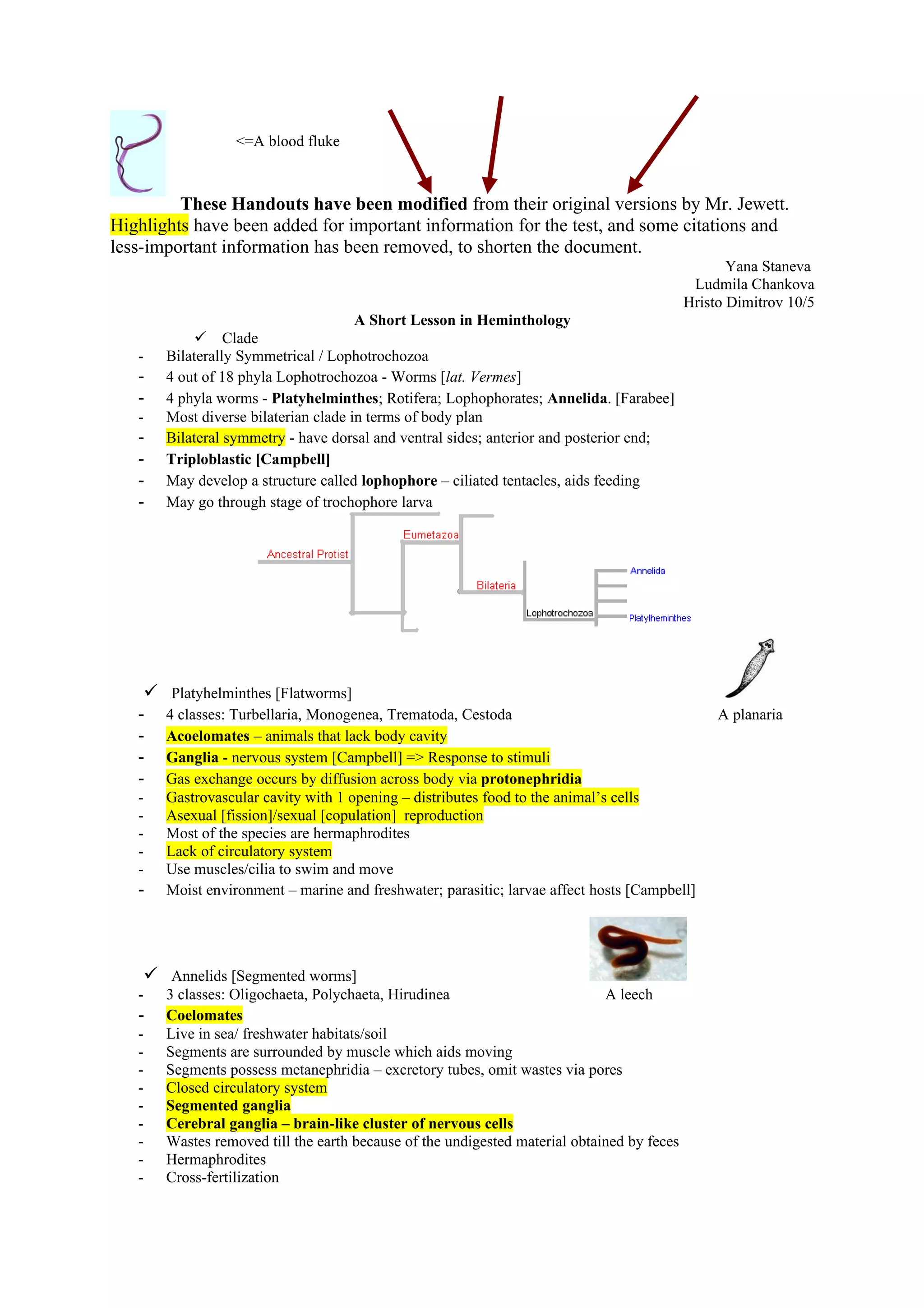 10 5 animal diversity handouts all | DOC