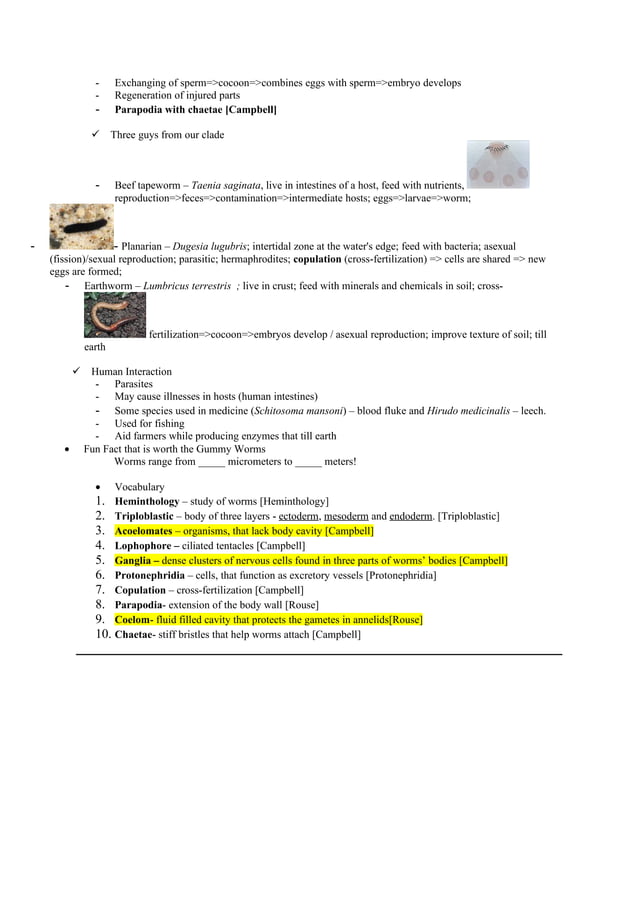10 5 animal diversity handouts all | PDF