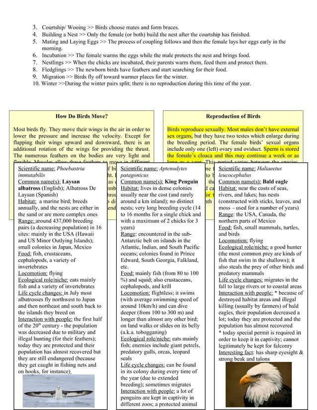 10 5 animal diversity handouts all | PDF