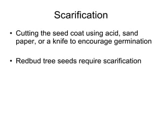 10 5 Scarification & Stratification | PPT