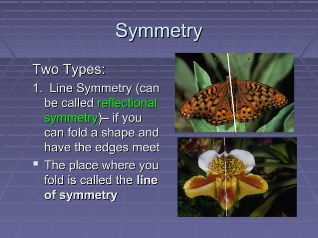 10 6 symmetry lesson | PPT