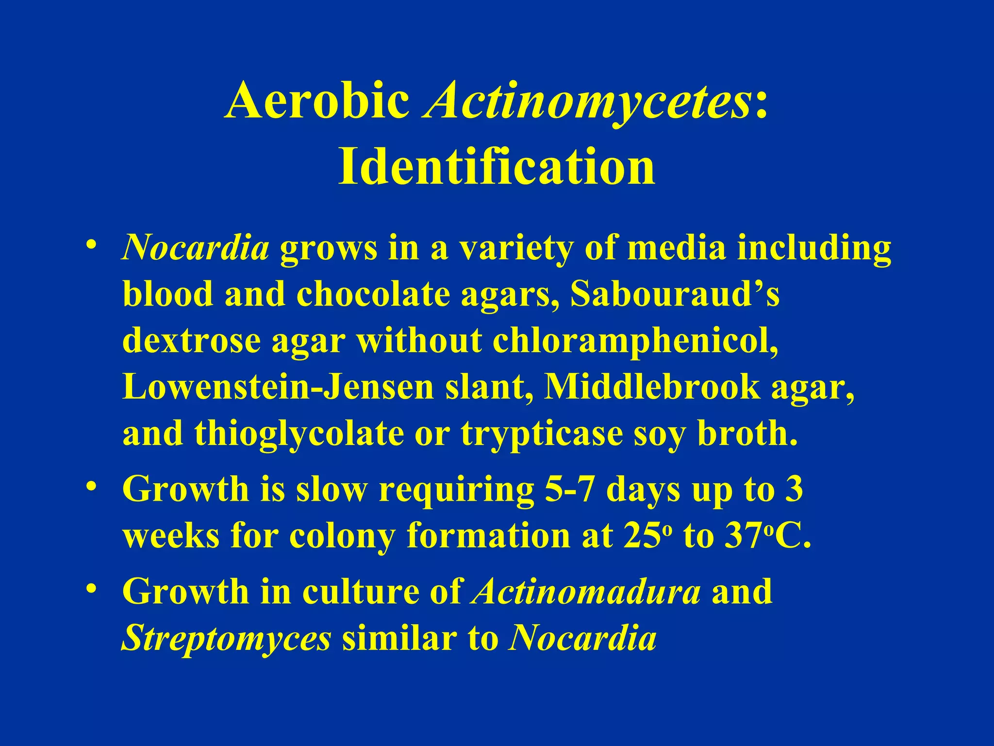 10 aerobic actinomycetes-and_anaerobic_____actinomyces_v1-_3 | PPT