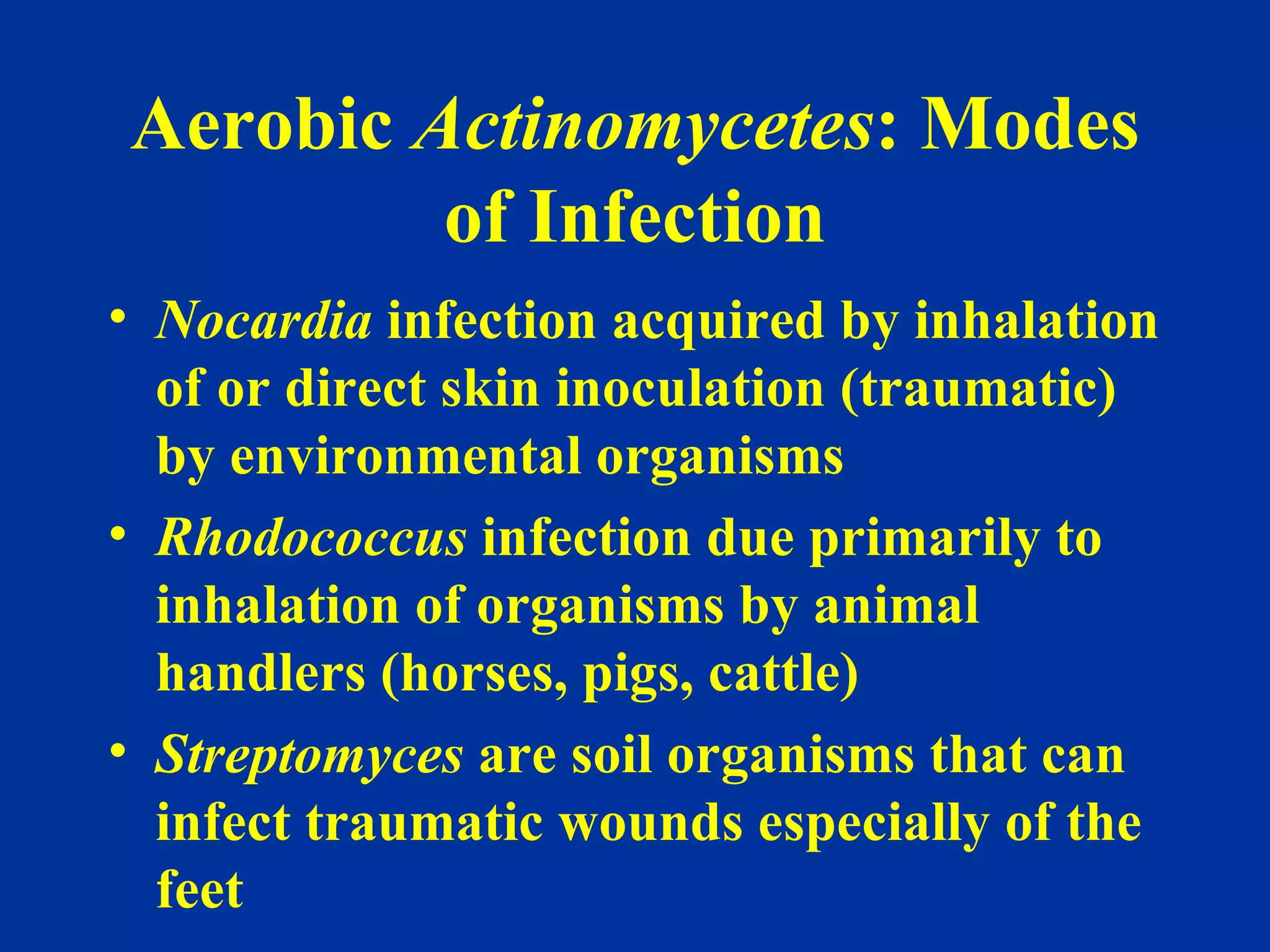 10 aerobic actinomycetes-and_anaerobic_____actinomyces_v1-_3 | PPT