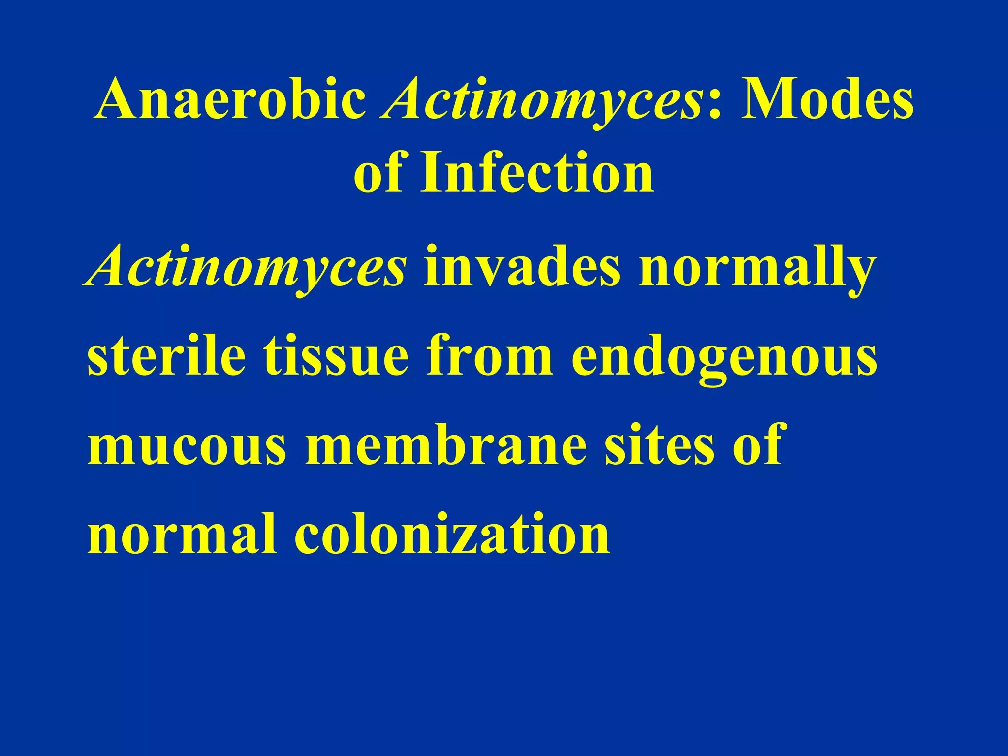 10 aerobic actinomycetes-and_anaerobic_____actinomyces_v1-_3 | PPT