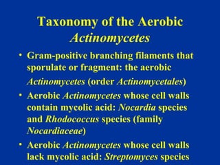 10 aerobic actinomycetes-and_anaerobic_____actinomyces_v1-_3 | PPT