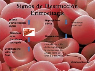 anemia hemolítica | PPT