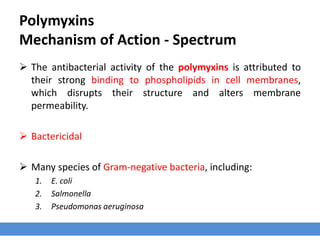 Antibiotics Groups - Polypeptides | PPTX