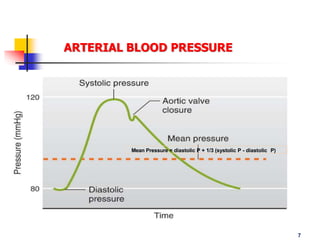 10- Arterial Blood Pressure.ppt