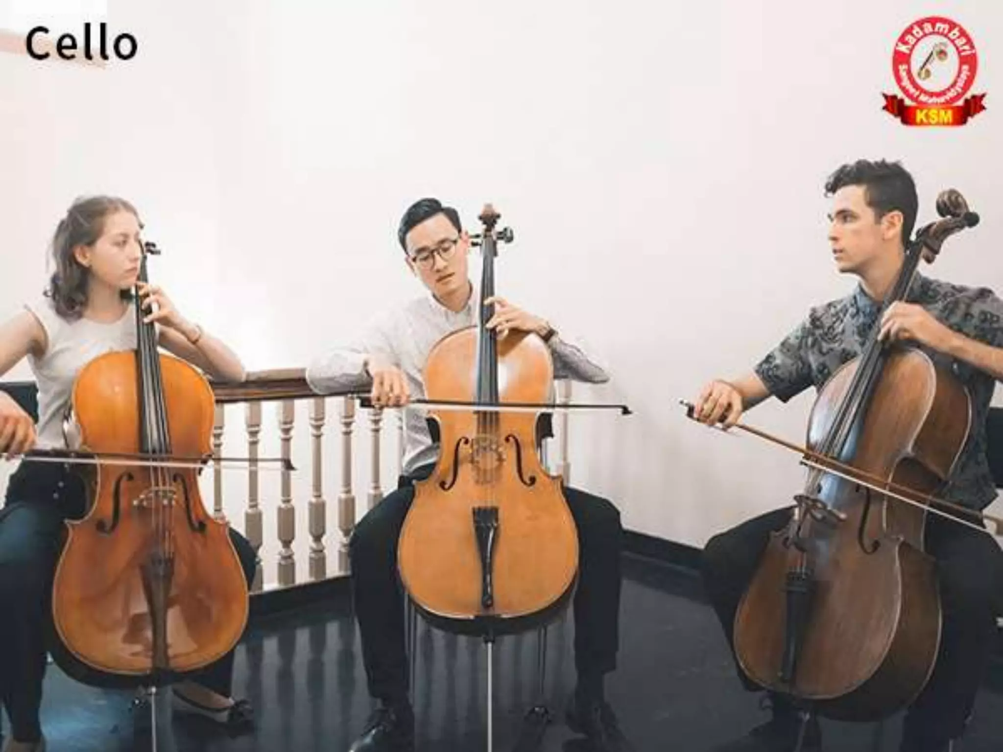 10 Best String Instruments | PPT